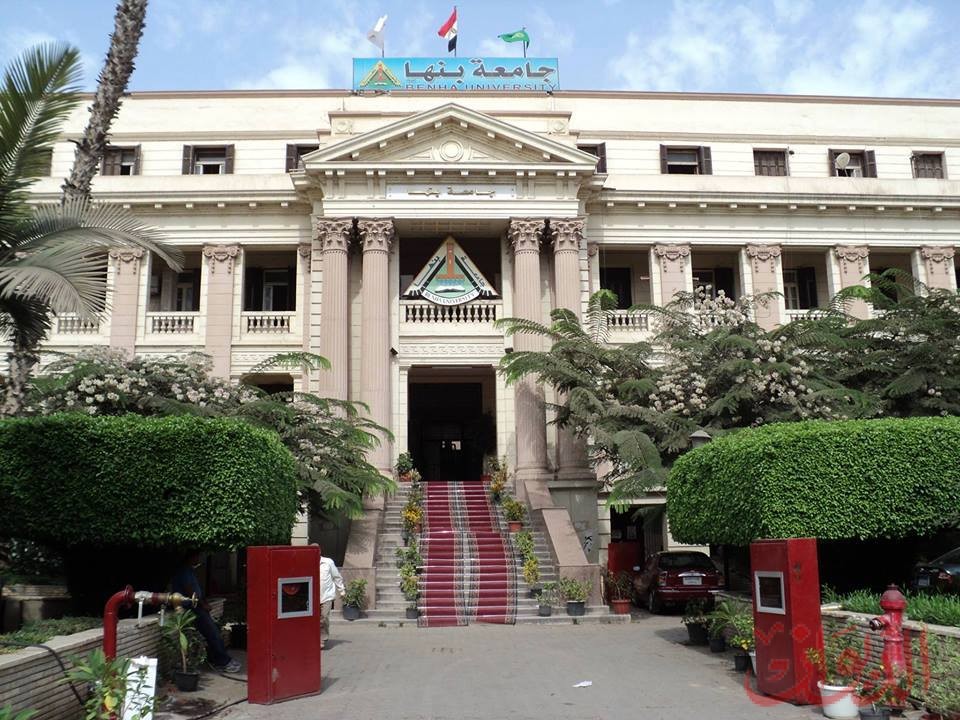 إنشاء أول مستودع لبيانات الخريجين بجامعة بنها : جريدة الديوان